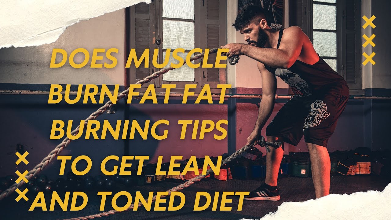 Does Muscle Burn Fat Fat Burning Tips to Get Lean and Toned - YouTube