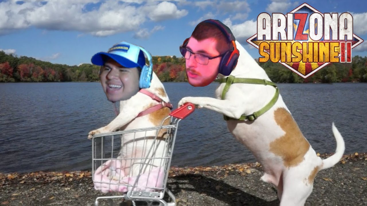 Teaching this old dog some new tricks - Arizona Sunshine 2 | Cringe ...