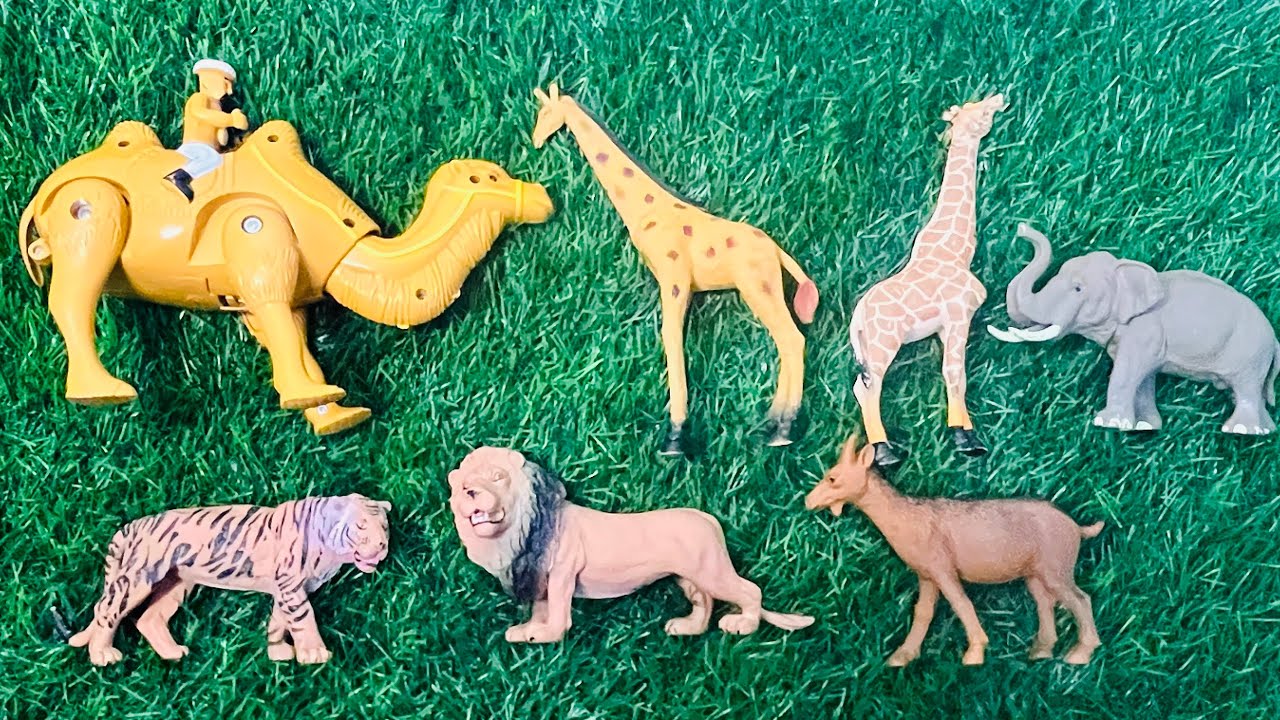 3 Minutes satisfying with unboxing toys magic box animals camel ...