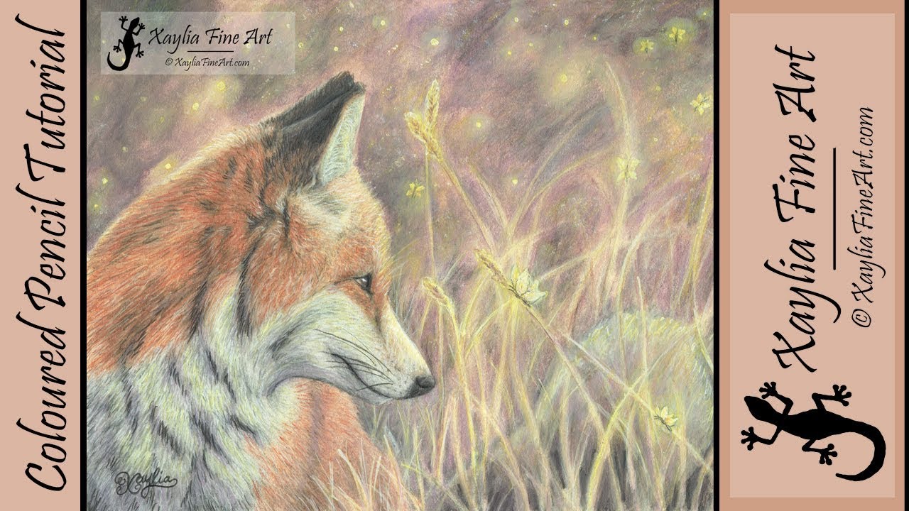 Coloured Pencil Tutorial: "Light and Magic" How to draw a fox in ...
