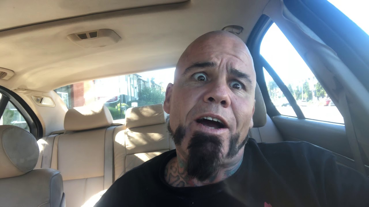 Badgers bad b flick - YouTube