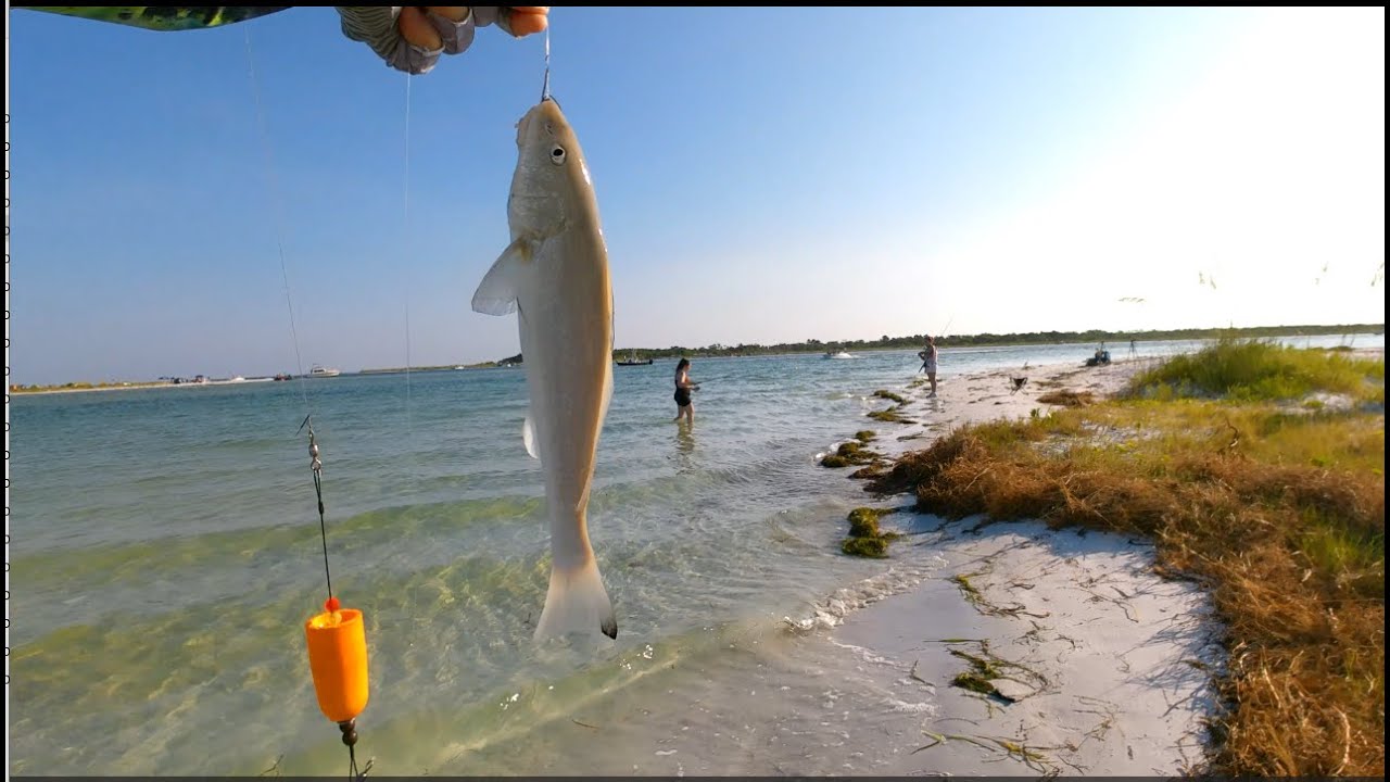 Gulf Kingfish - Whiting - YouTube