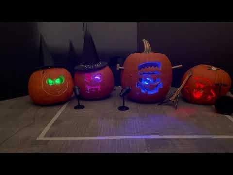Singing Pumpkins do the Monster Mash! - YouTube