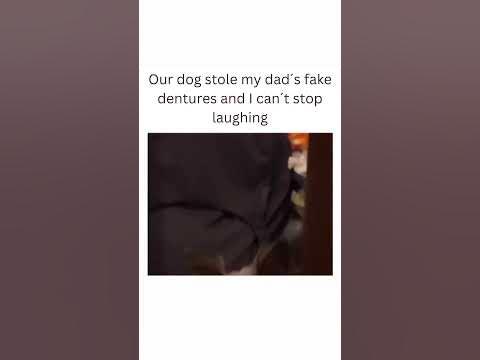 Our dog stole my dad´s fake dentures #shorts #tigershorts #funny # ...