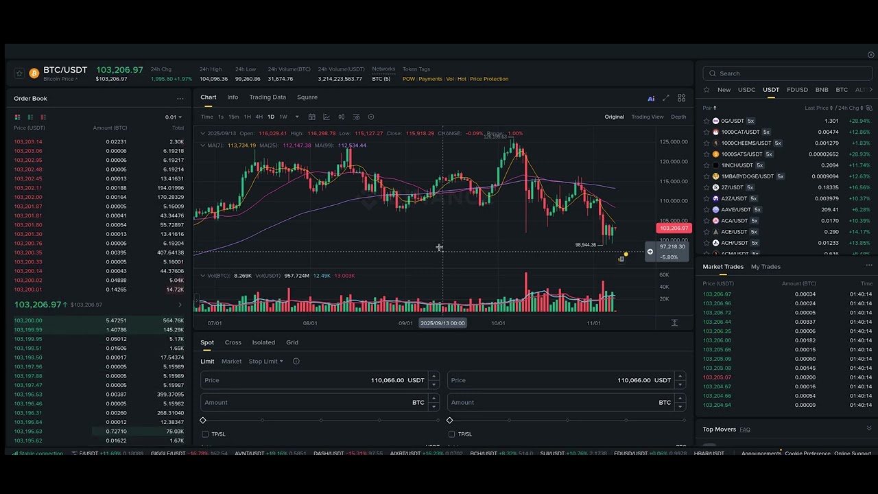LIVE BTC/USDT CHART: Real-Time Bitcoin Price Tracker (Current Market ...