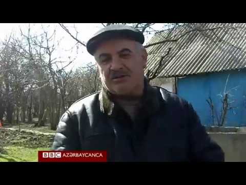 Zaqatala MUXAX sakini  \