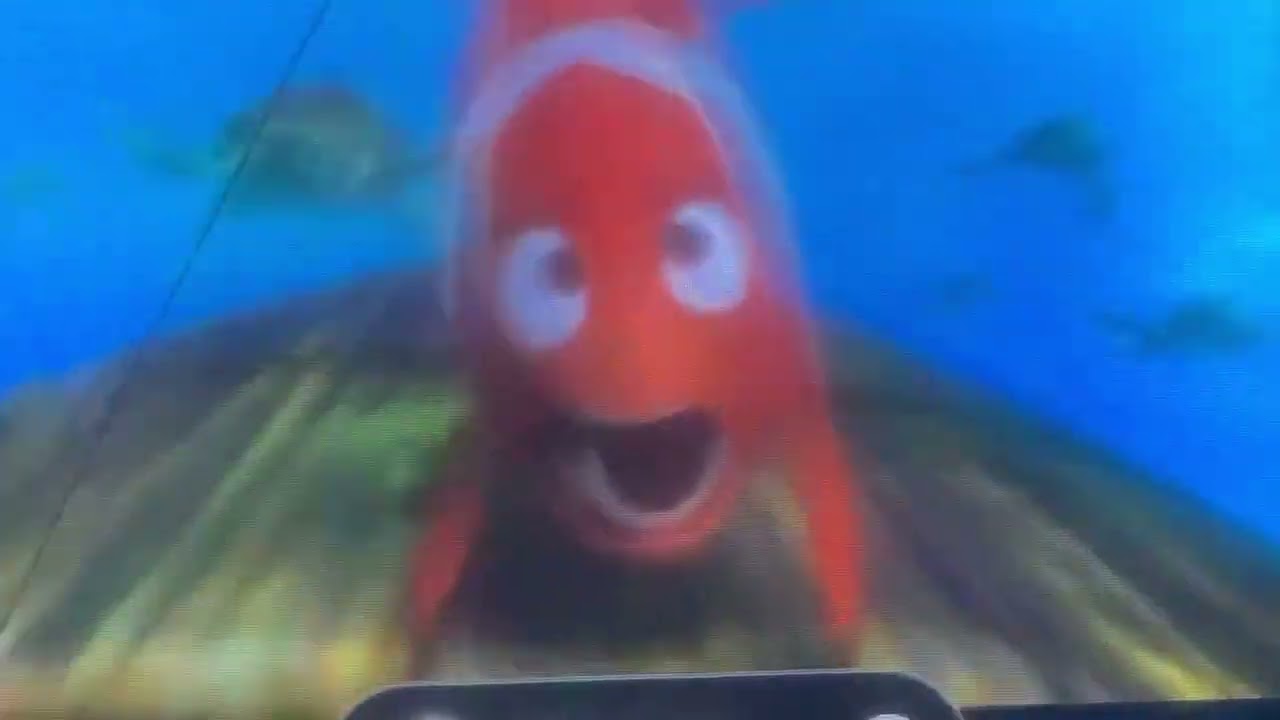 Finding Nemo righteous - YouTube