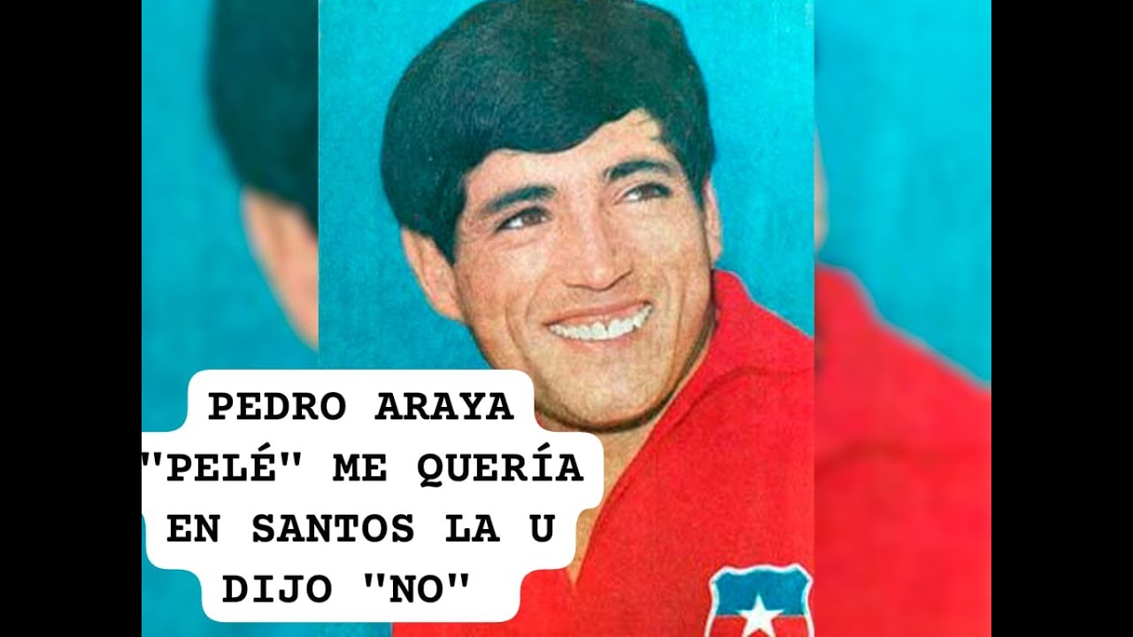 MH MI HISTORIA, "PEDRO ARAYA", EL MEJOR PUNTERO DE TODOS LOS TIEMPOS ...