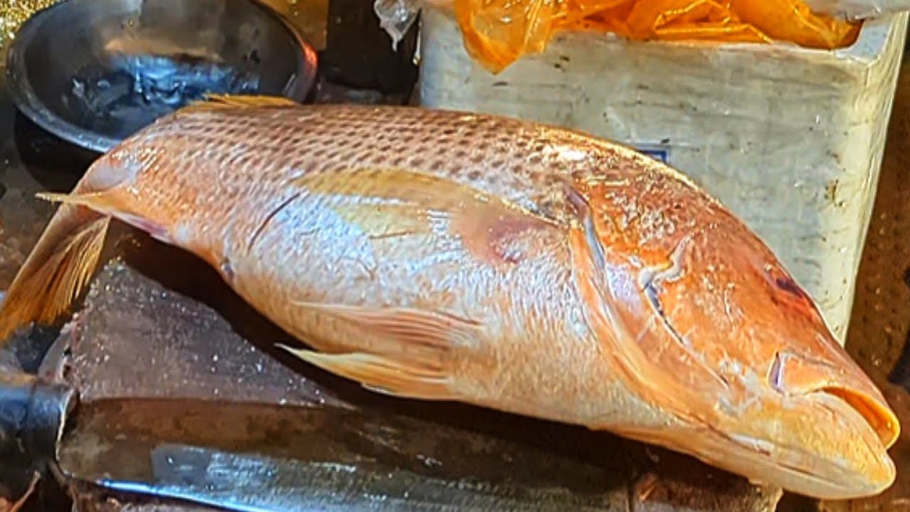 Outstanding Giant Red Snapper Fish Cutting Skills Live In Fish Market ...