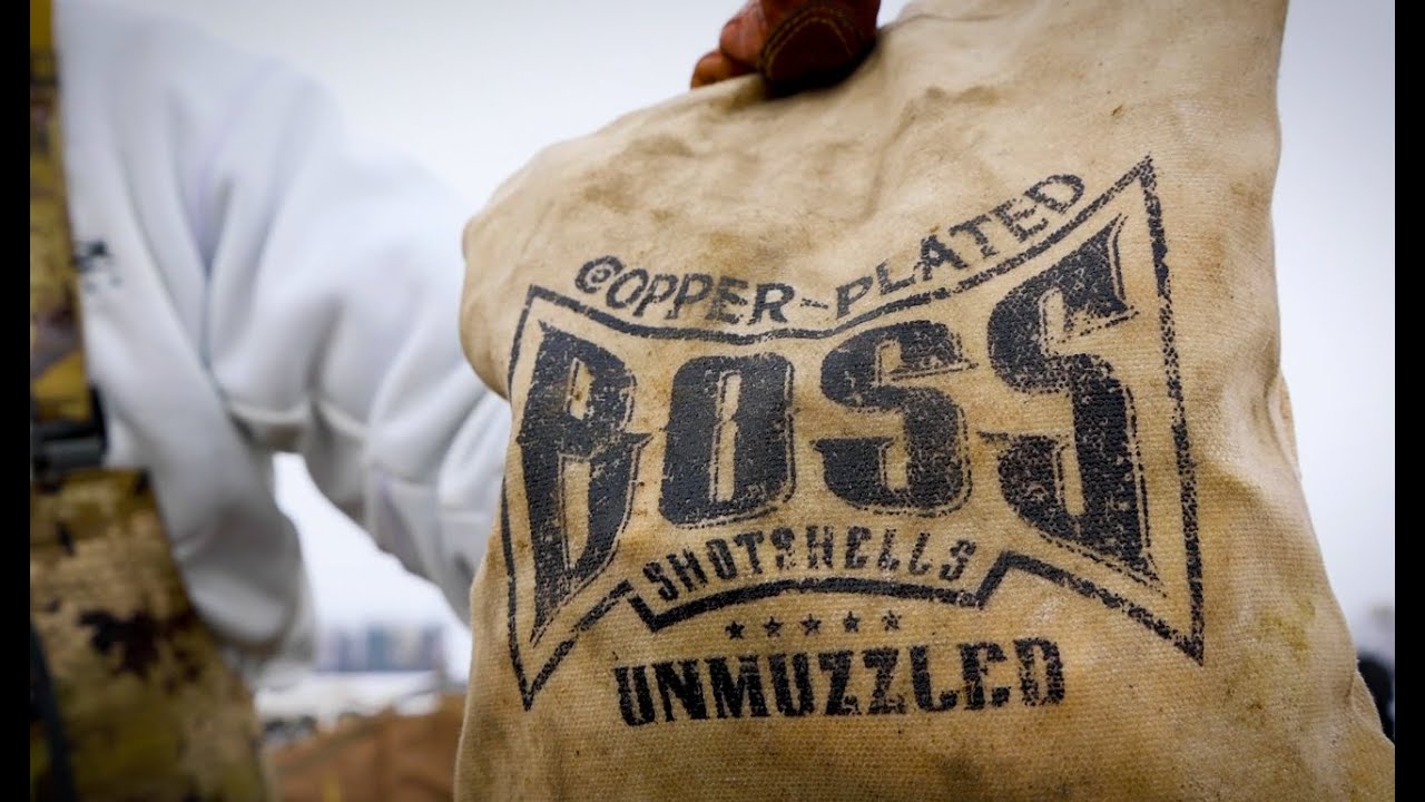 BOSS SHOTSHELLS 20 gauge 5's vs premium steel - YouTube