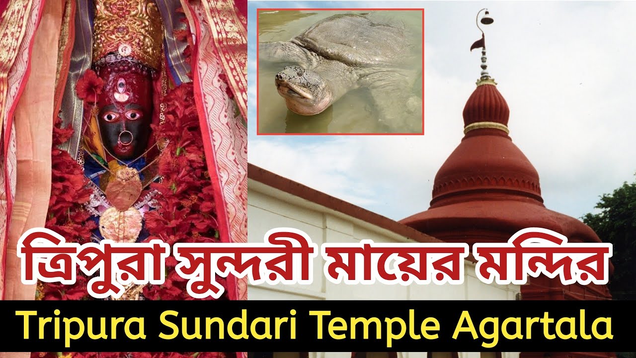 ত্রিপুরা সুন্দরী মাতাবাড়ী মায়ের মন্দিরে কিভাবে যাবেন l How toTripura ...