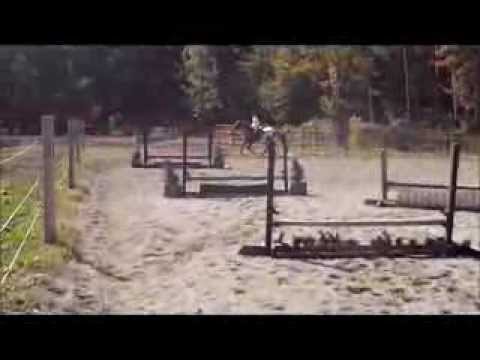 Miron Valley Stables -Horse Show - YouTube