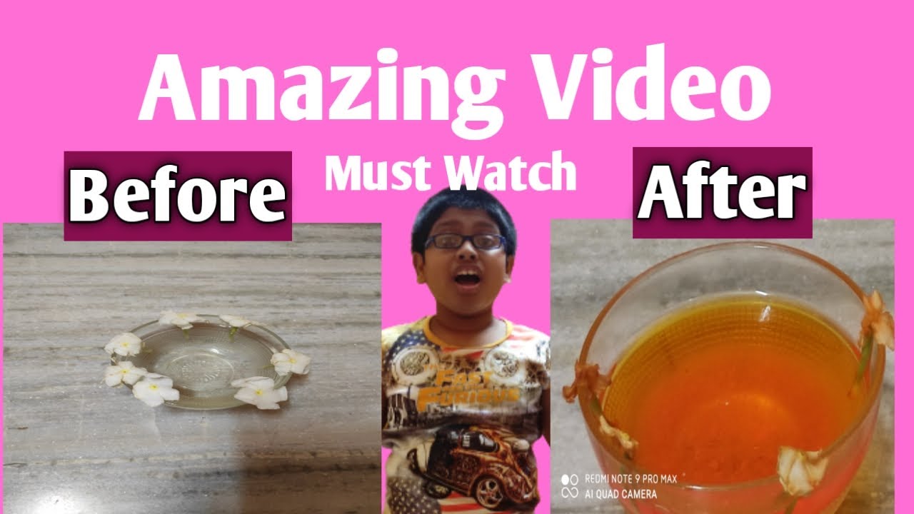 Colour Changing Experiment In Plants| Presence Of Xylem In Plants - YouTube