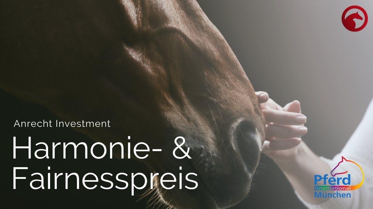 HARMONIE & FAIRNESS 🫶🏼 | Förderung durch Liebe zum Pferd ️ | ein Preis ...