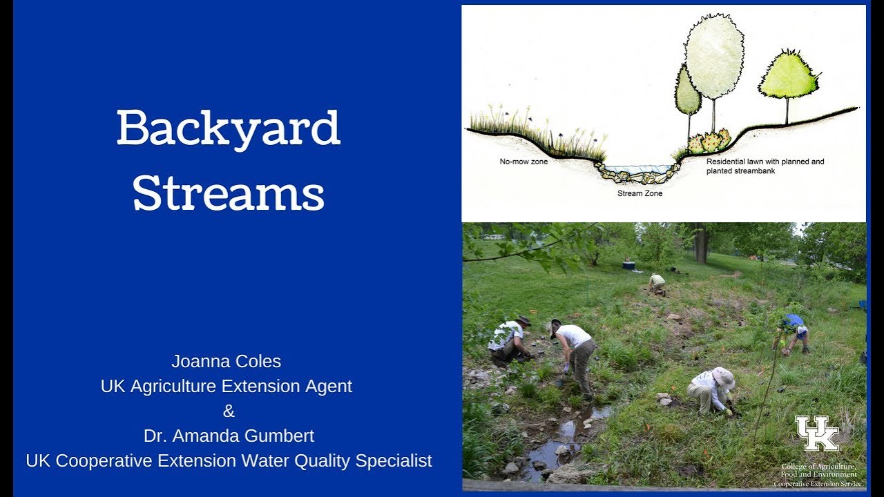 Native Plants along Backyard Streams - YouTube