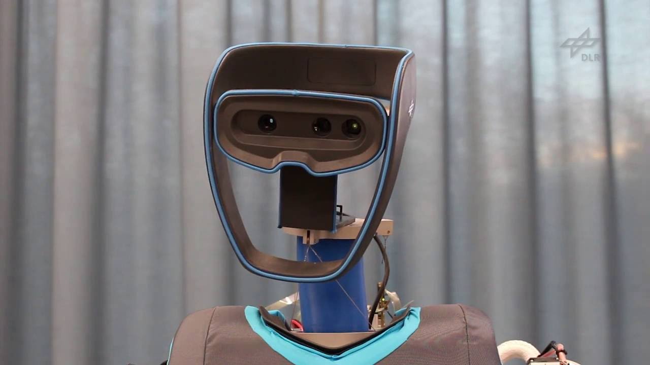 Structurally Flexible Humanoid Spine based on a Tendon-Driven Elastic ...