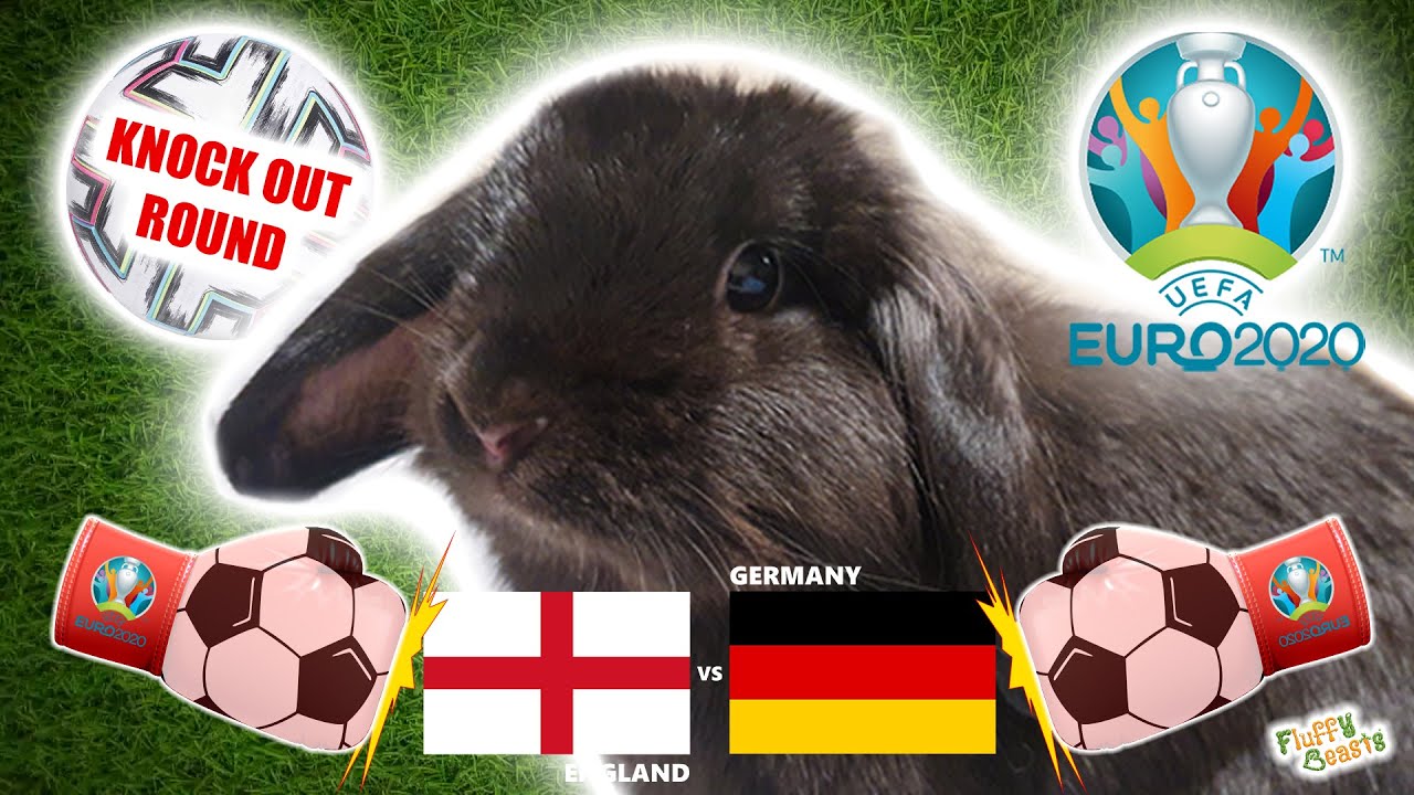 UEFA Euro 2020 Prediction | England vs Germany | Bunny Rabbit Football ...