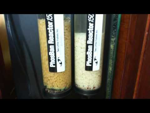 Phosban Reactors in Series. - YouTube