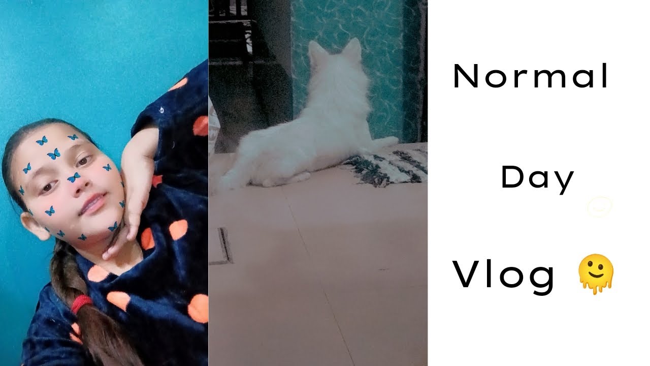 normal day vlog and best vlog see please so beautiful vlog on nest vlog / Nilisha vlogs 🫠 bye ...