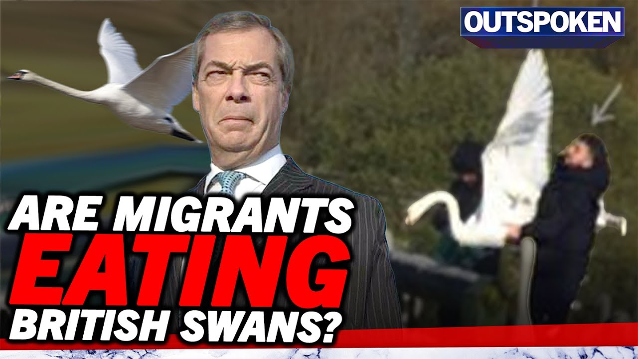 Horror as illegal migrants seen trying to kill swans in Cheshire ...