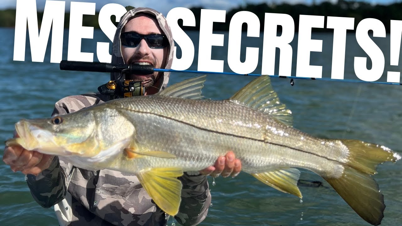 5 astuces à connaitre avant de pêcher le SNOOK! - YouTube