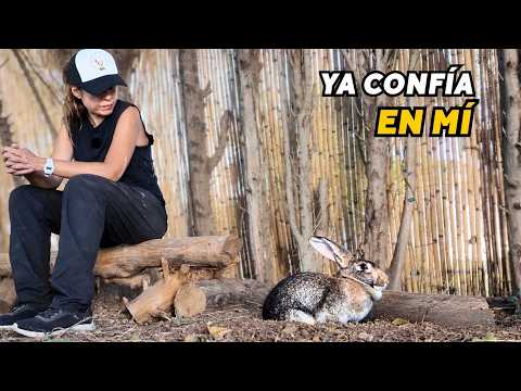 Un CONEJO \