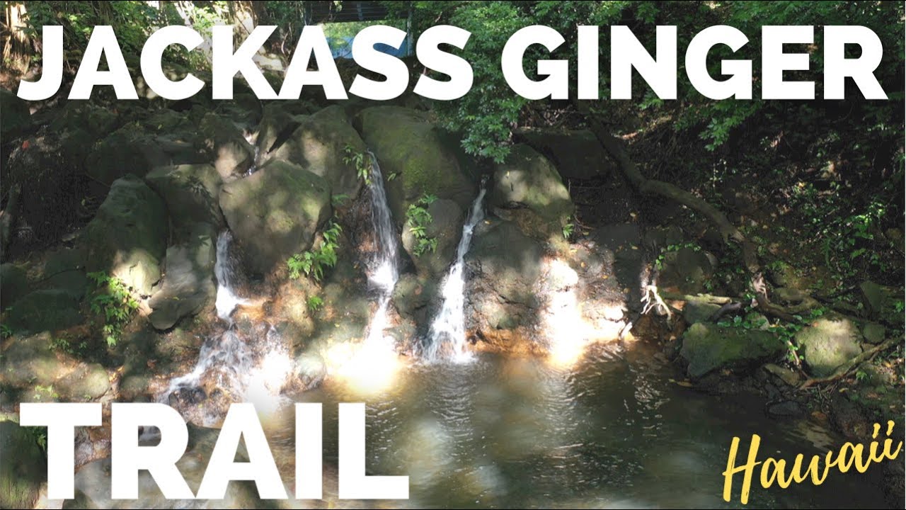 HIKING JUDD TRAIL | JACKASS GINGER | HAWAII WATERFALL - YouTube