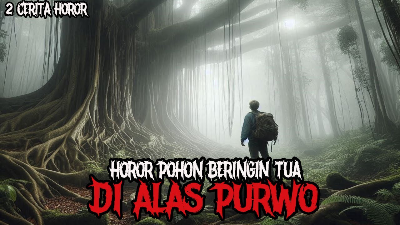 HOROR POHON BERINGIN TUA DI ALAS PURWO - CERITA HOROR - KISAH HOROR ...