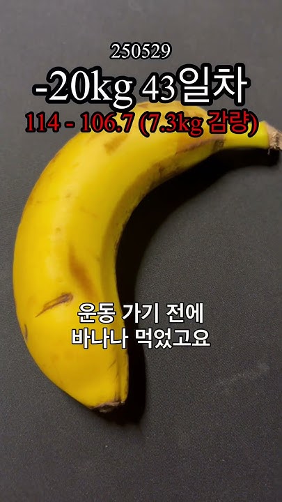 -20kg 43일차 (7.3kg 감량) #지침 - YouTube