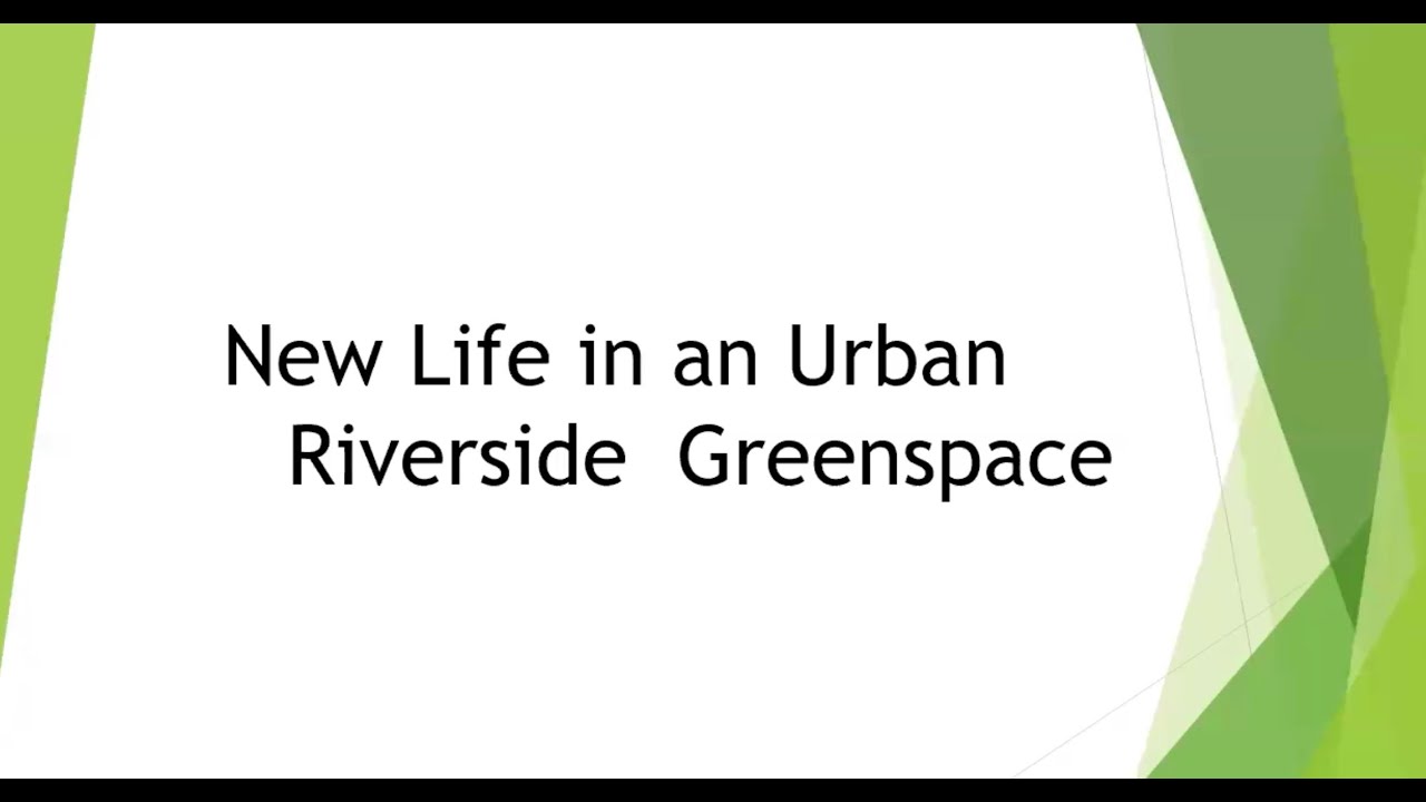 New Life in an Urban Riverside Greenspace - YouTube
