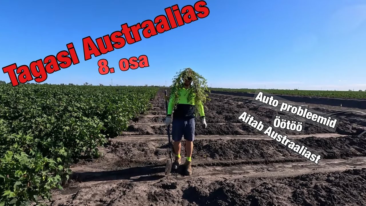 Tagasi Austraalias - 8. osa - YouTube