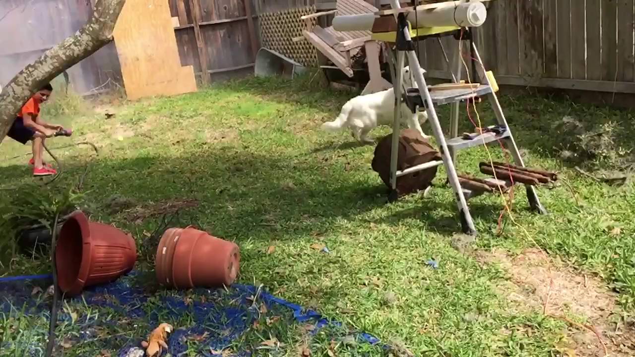 Rocket Propelled Fruit Launcher - YouTube