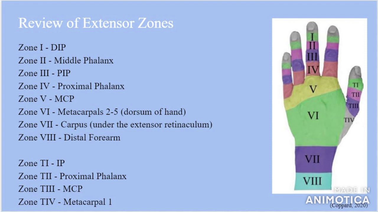 ETI Treatment Protocol Evidence - YouTube