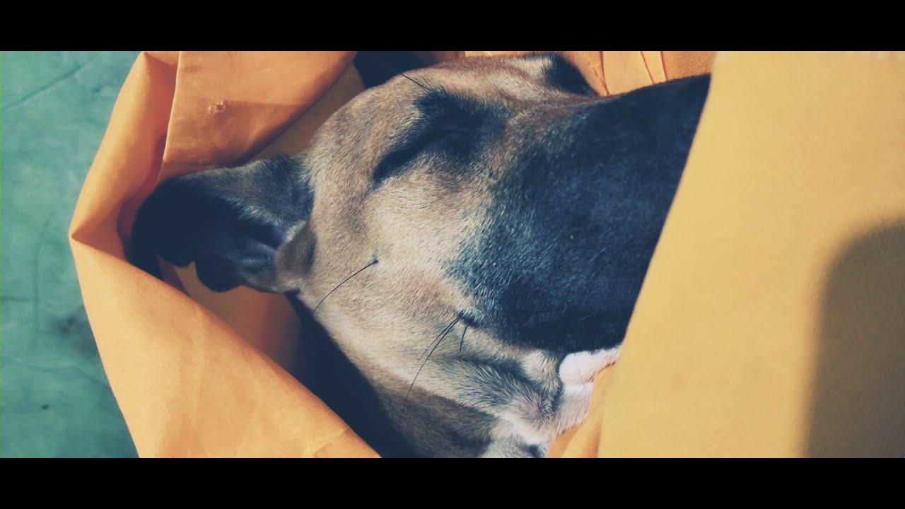 Hi Im Boomer😴 - YouTube