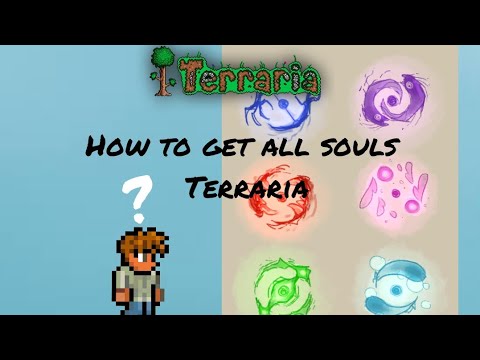 How to get all souls in Terraria? - YouTube