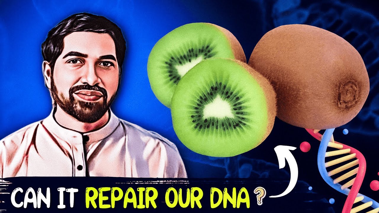 Kiwi Fruit And DNA Repair | Kiwi Fruit - YouTube