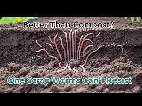CORRECTED - This One Kitchen Scrap Brings Worms Faster Than Compost ...