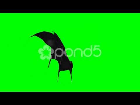 Devil Demon Wings - Separated On Green Screen - YouTube
