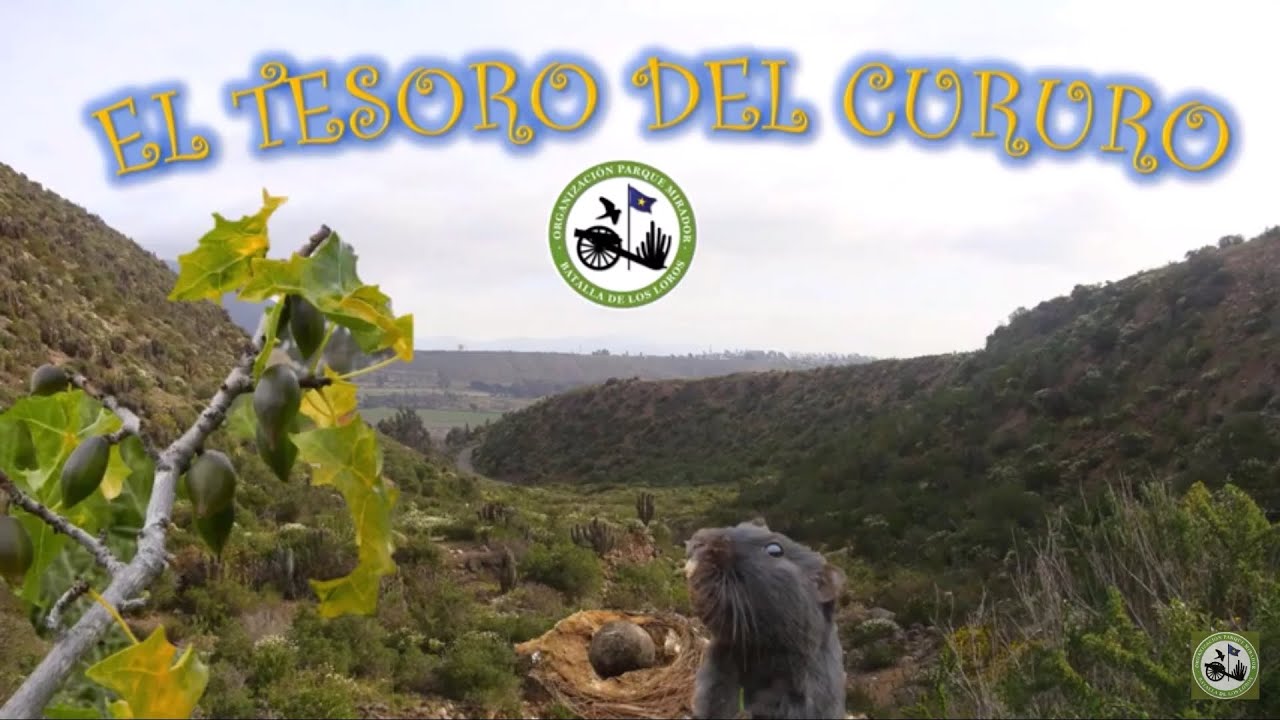 El Tesoro del Cururo, Cuento en la Quebrada de los Loros, La Serena ...