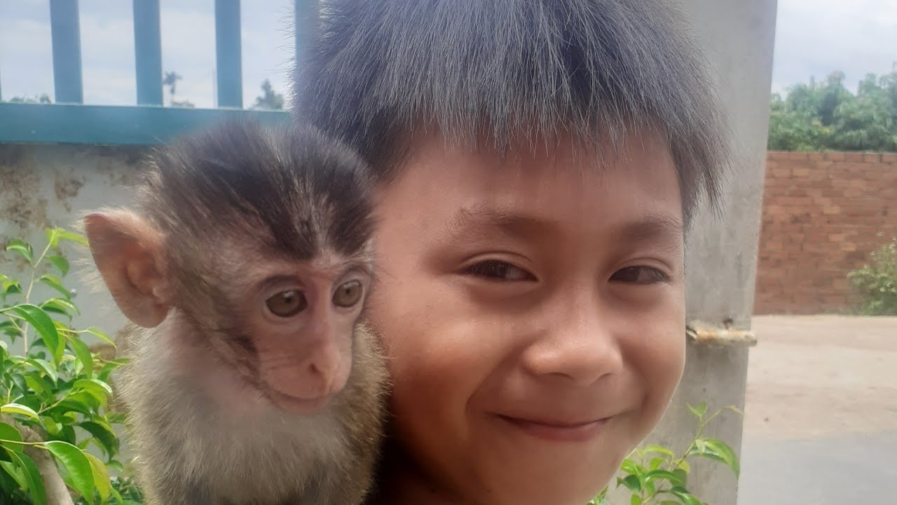 ...welcome my baby monkey back to my family, 🙉 - YouTube