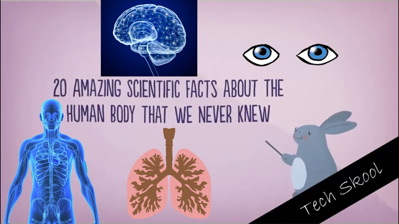 20 Amazing Scientific Facts About The Human Body YouTube 20 Amazing Scientific Facts About The Human Body YouTube