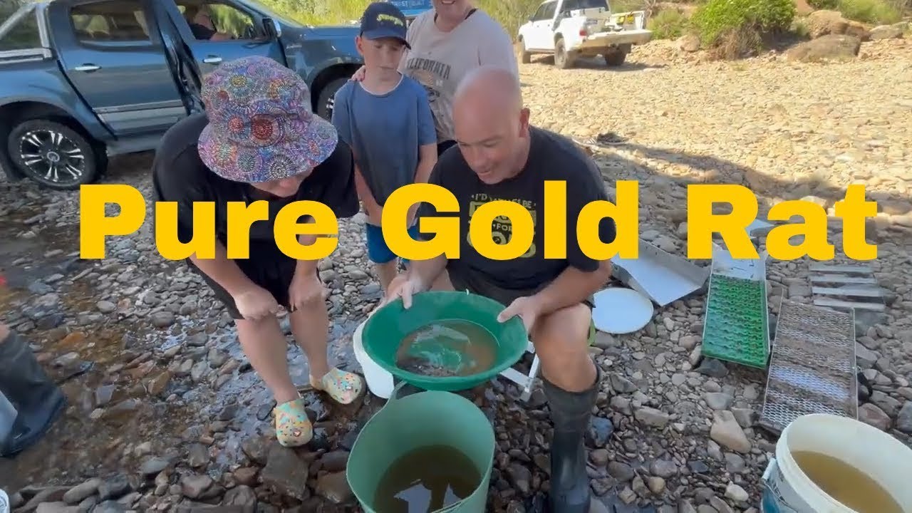 Oh That's Gold Shenanigans at the Unofficial Gold Rat Engineering ...