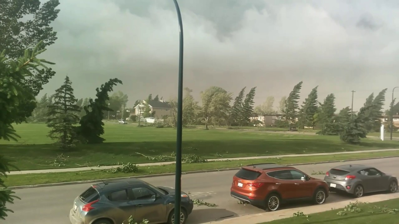 Red deer winds June 20th - YouTube