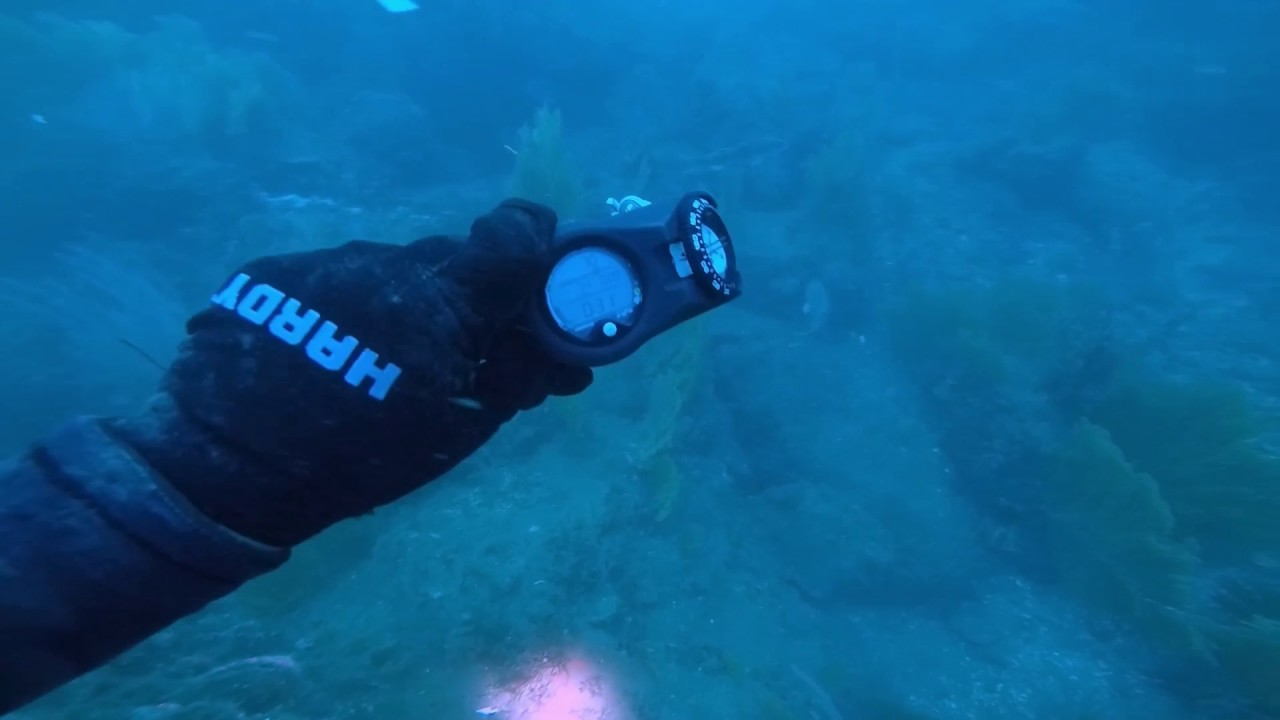 Jan 31, 2017 Bug dive in the Santa Monica Bay. - YouTube