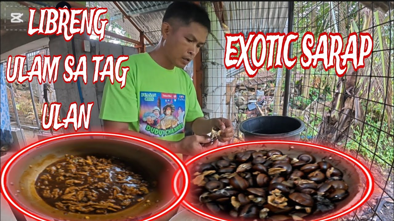 FOREST SNAIL EXOTIC FOOD @PROVINCE - YouTube
