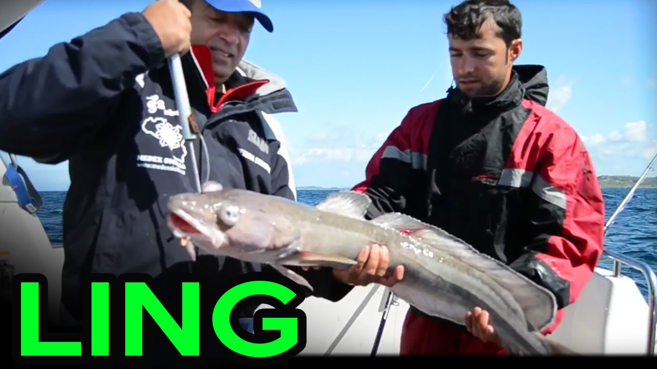 Pesca in mare: Mostella gigante (ling) - Matthieu Amato - YouTube