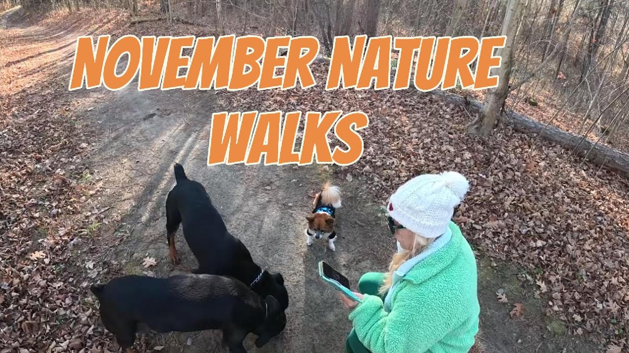 Exploring Durham Trails- A Dog Friendly Adventure at R Farm and Long ...