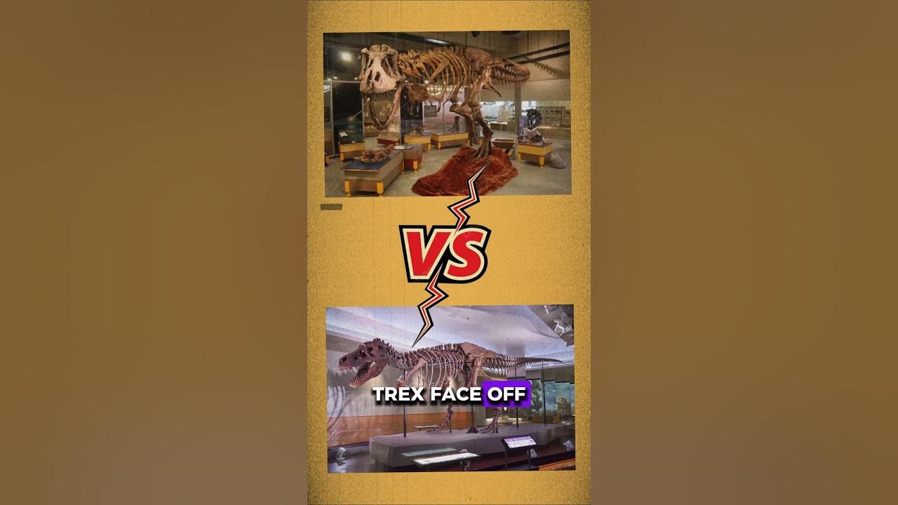 Scotty vs. Sue | Biggest T. Rex Ever Found? 🦖 👑 #shorts - YouTube