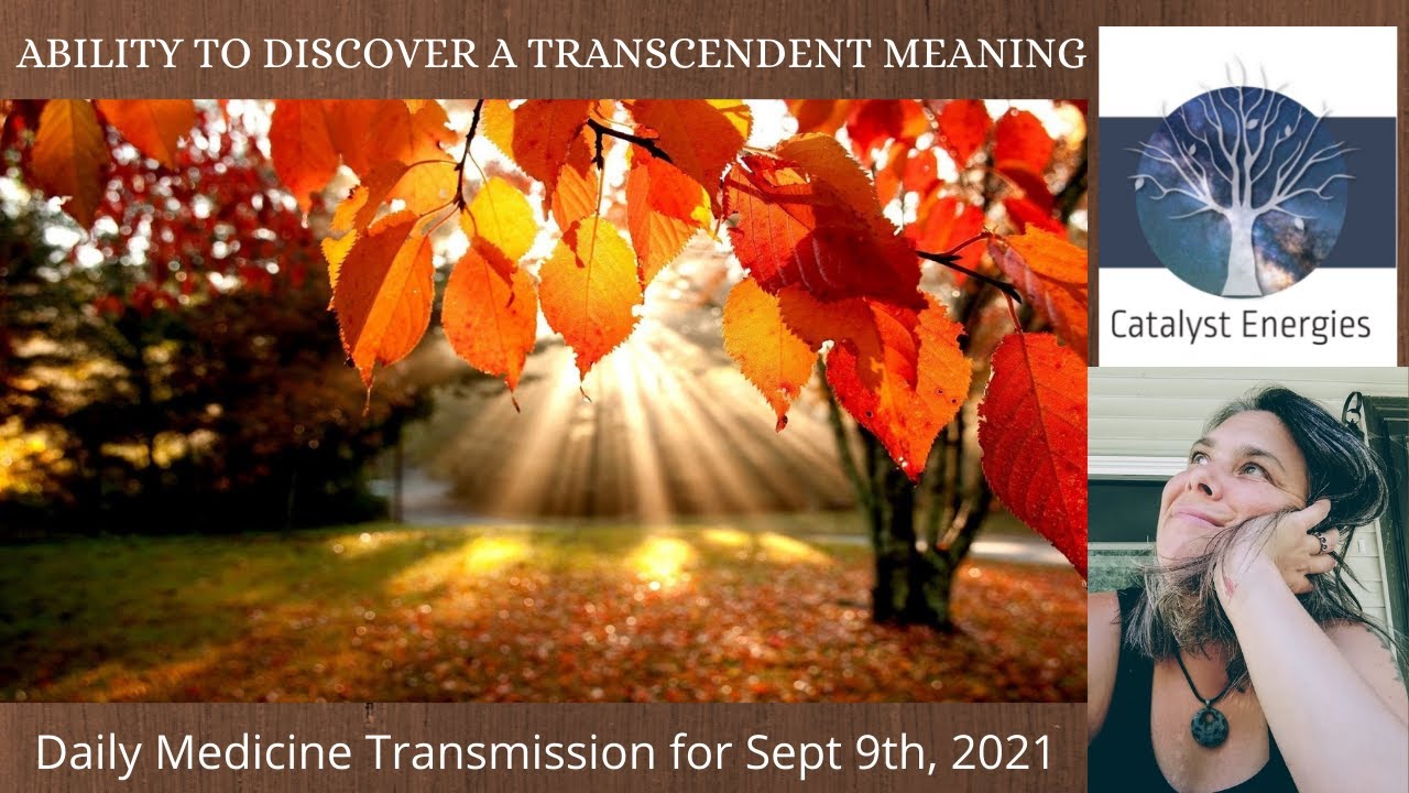ABILITY TO DISCOVER A TRANSCENDENT MEANING - Daily Medicine ...