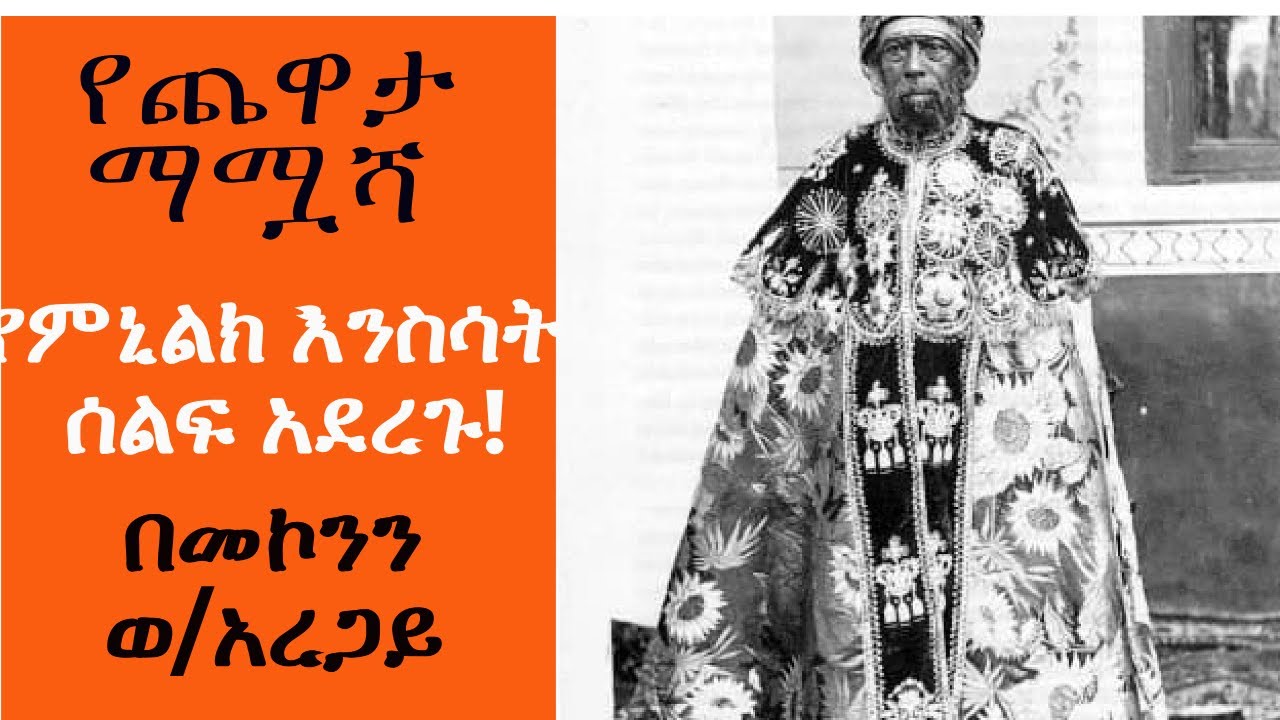 Sheger FM - የምኒልክ እንስሳት ሰልፍ አደረጉ! የጨዋታ ማሟሻ - YouTube